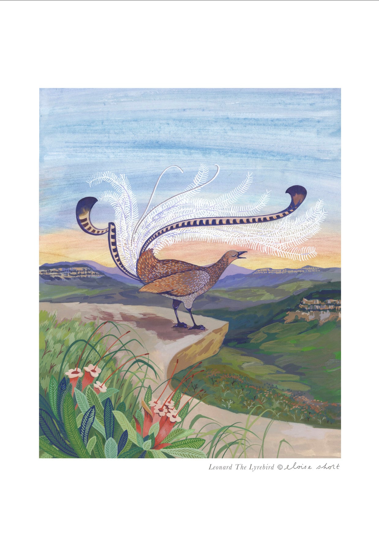 A4 'leonard the Lyrebird' Matte Art Print by Eloise Short, From ...