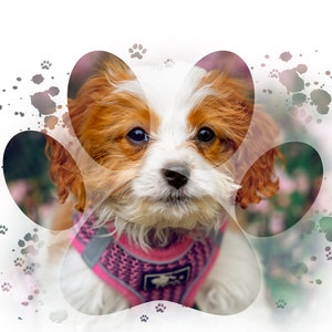 Dog Paw Watercolor Photoshop Editable Digital Photo Template/ Download ...