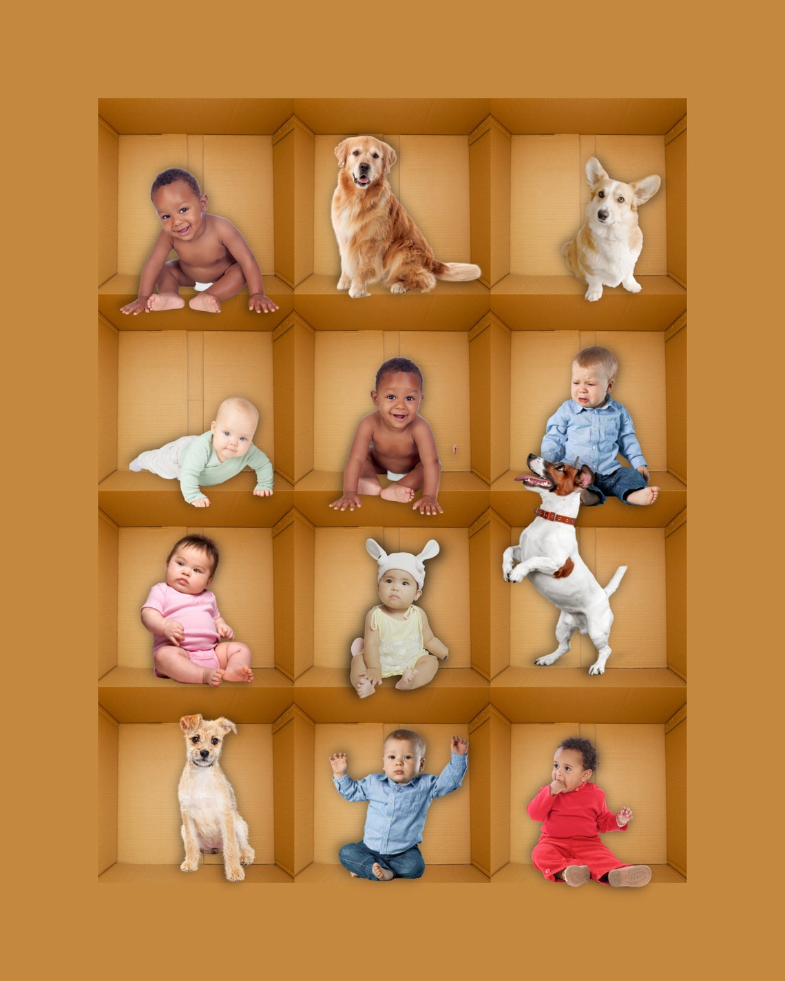 In the Box 12 Box JPEG Cardboard Box Image Collage Digital - Etsy