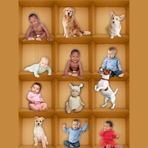 In the Box 12 Box JPEG Cardboard Box Image Collage Digital Template ...