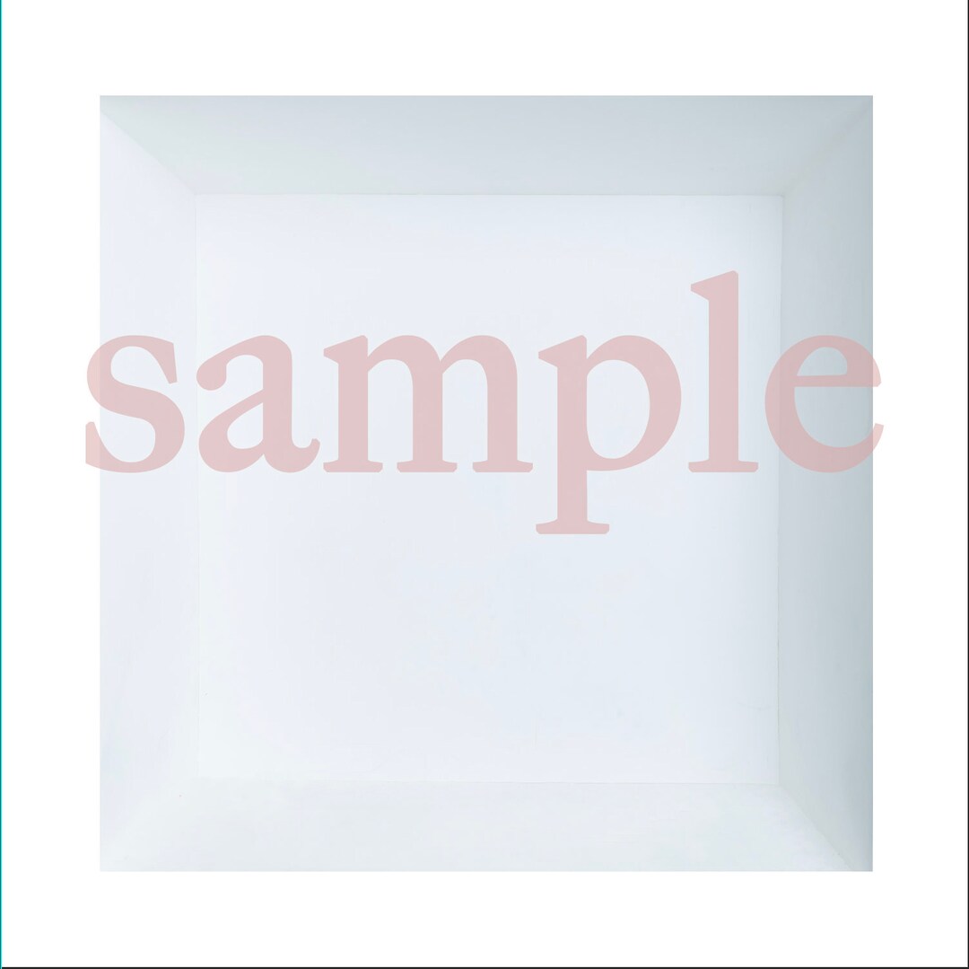 In the Box SINGLE BOX PHOTO Jpeg With White Grid Photoshop Digital ...