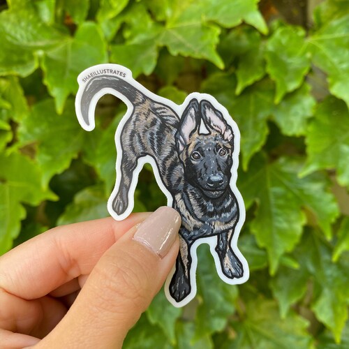 Dutch Shepherd Dog 01 in Watercolor Fine Art Print Glicee | Etsy