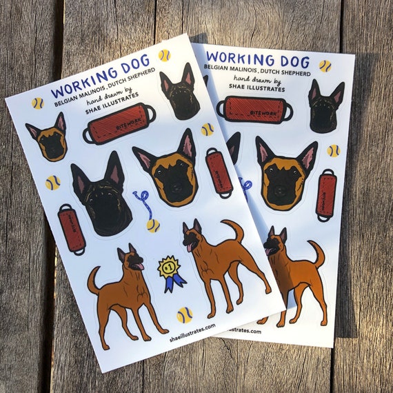 Working Dog Vinyl Sticker Set Belgian Malinois Dutch - Etsy