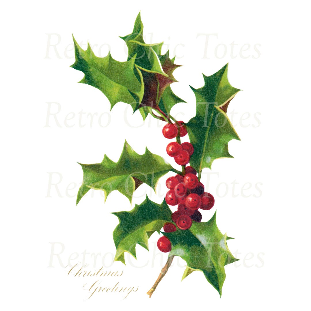 Vintage Christmas Holly Illustration | Antique Holiday Decor | 1906 ...
