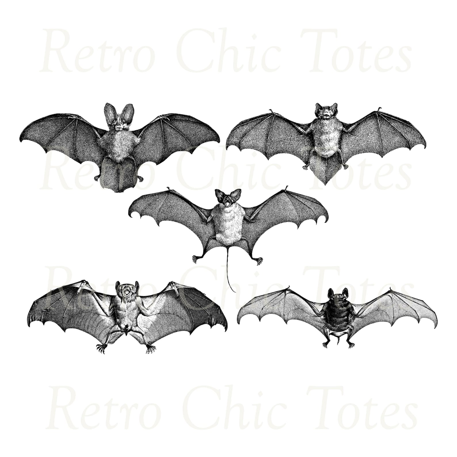 Vintage Bat Clip Art, Bat Illustration Digital Download, Png for Craft ...