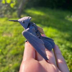 Humming Bird Articulated Fidget - Random Color - Etsy