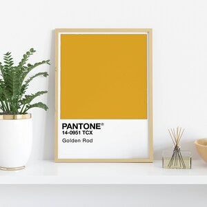 Pantone Golden Rod Printinstant Downloadpantone | Etsy