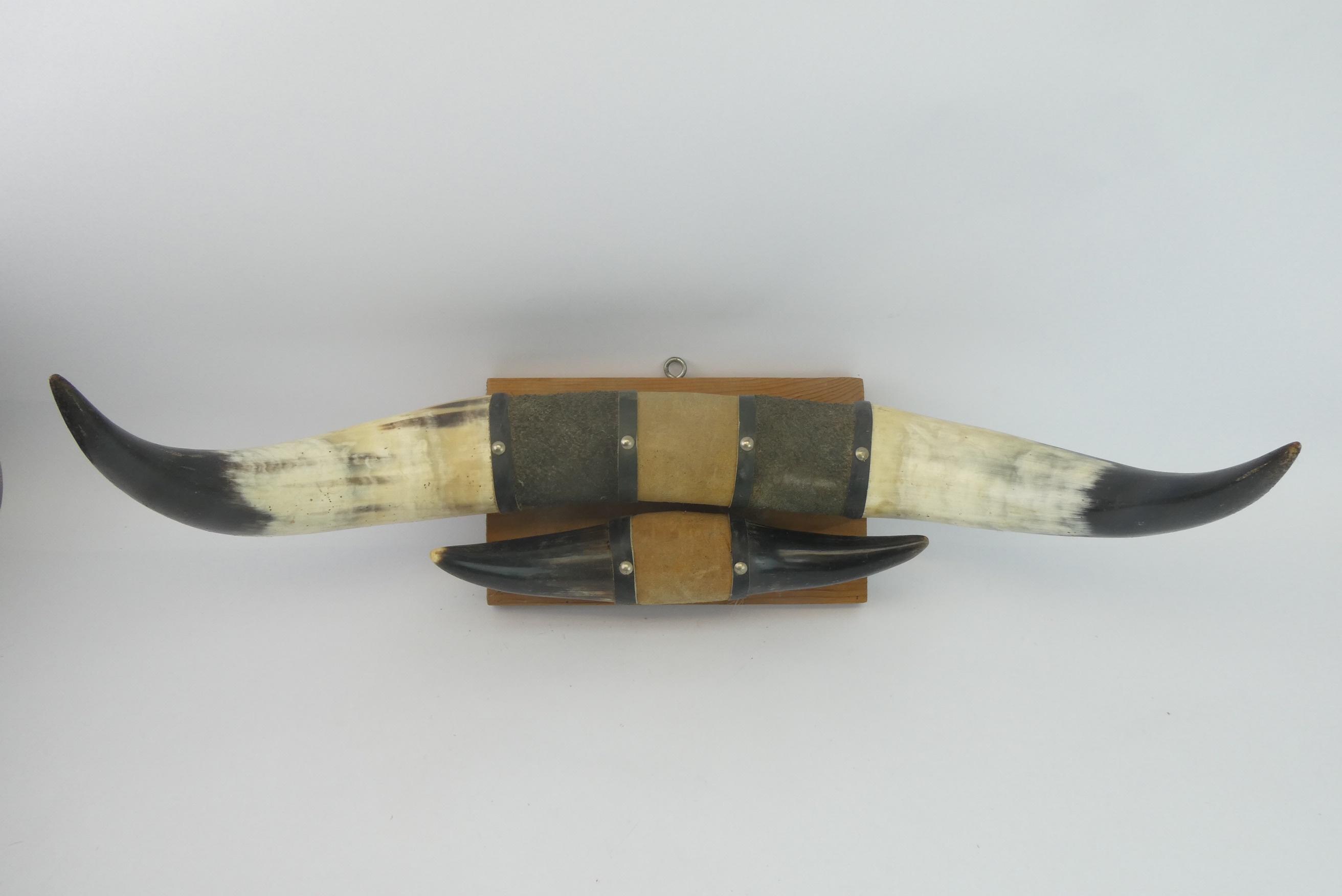 Pair of Bull Horns Decorative Texas Texan Style Ranch Decor Wall ...