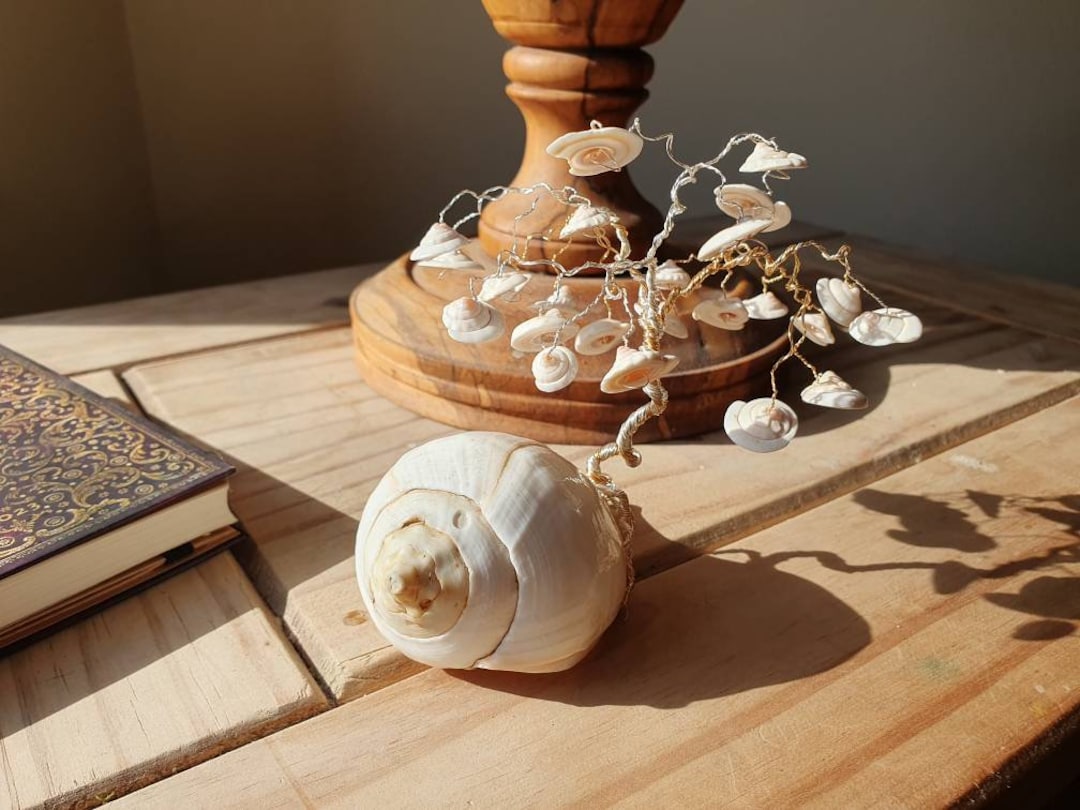 Mermaid Tree Shell Tree Unique Gift Eternal Bonsai With - Etsy