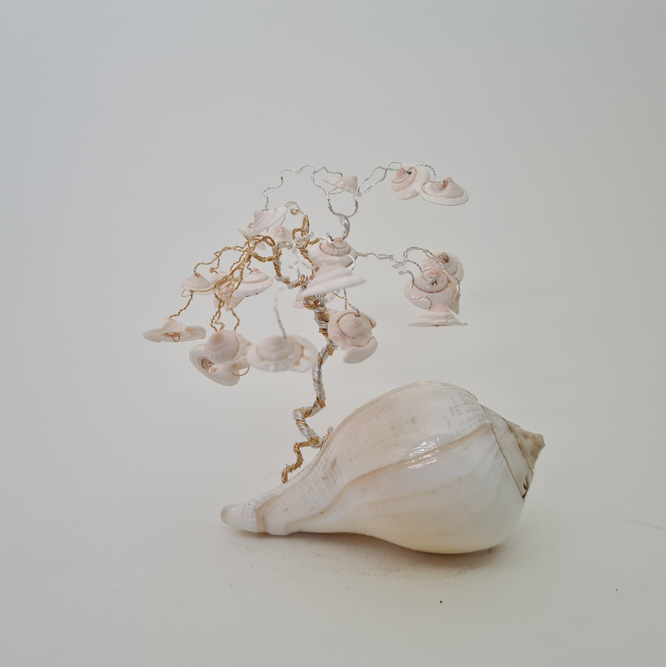 Mermaid Tree Shell Tree Unique Gift Eternal Bonsai With - Etsy