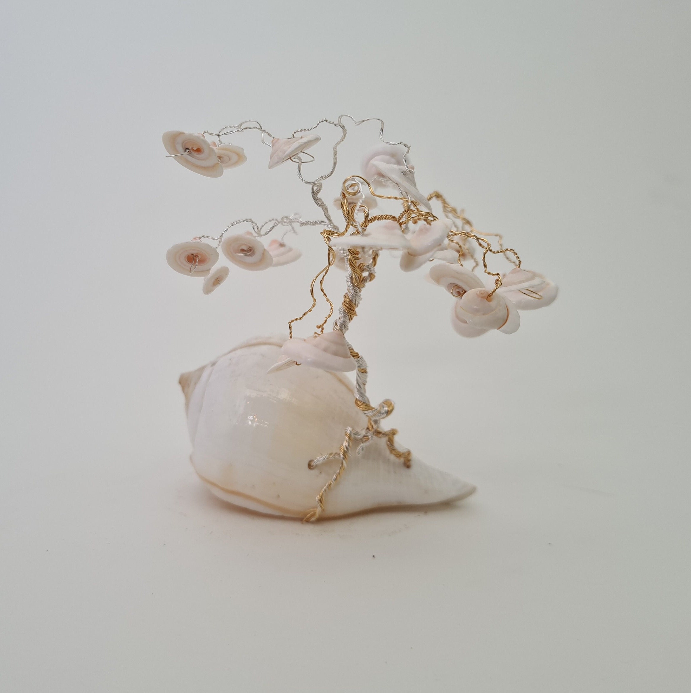 Mermaid Tree Shell Tree Unique Gift Eternal Bonsai With - Etsy