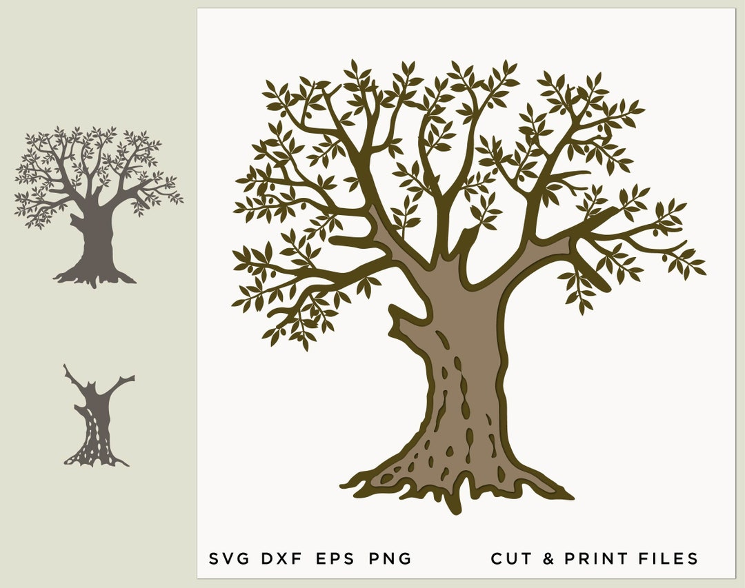Olive Tree, Tree of Life Tree of Life Svg, Tree Cut File, Tree Cut Out ...