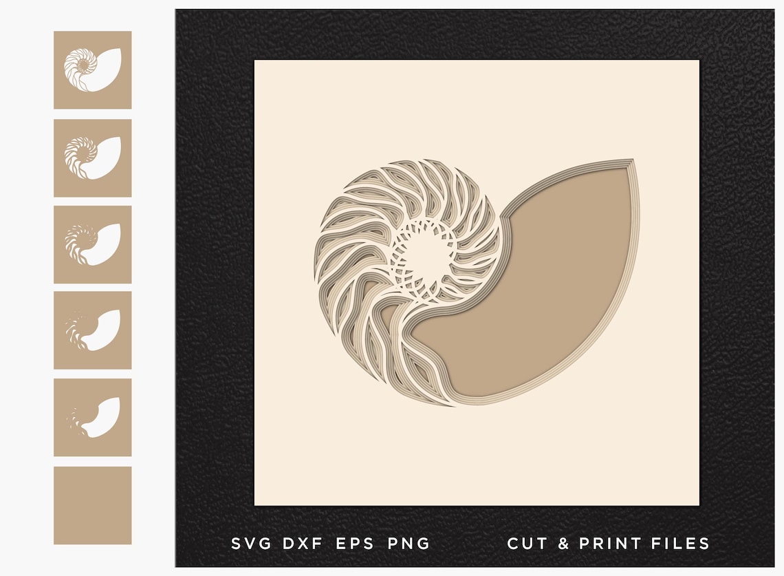 Nautilus Svg, 3d, Cut File Nautilus, Cut Multilayer, 3D Geometric ...