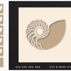 Nautilus Svg 3d Cut File Nautilus Cut Multilayer 3D - Etsy