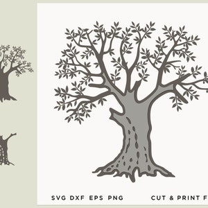 Olive Tree, Tree of Life Tree of Life Svg, Tree Cut File, Tree Cut Out ...