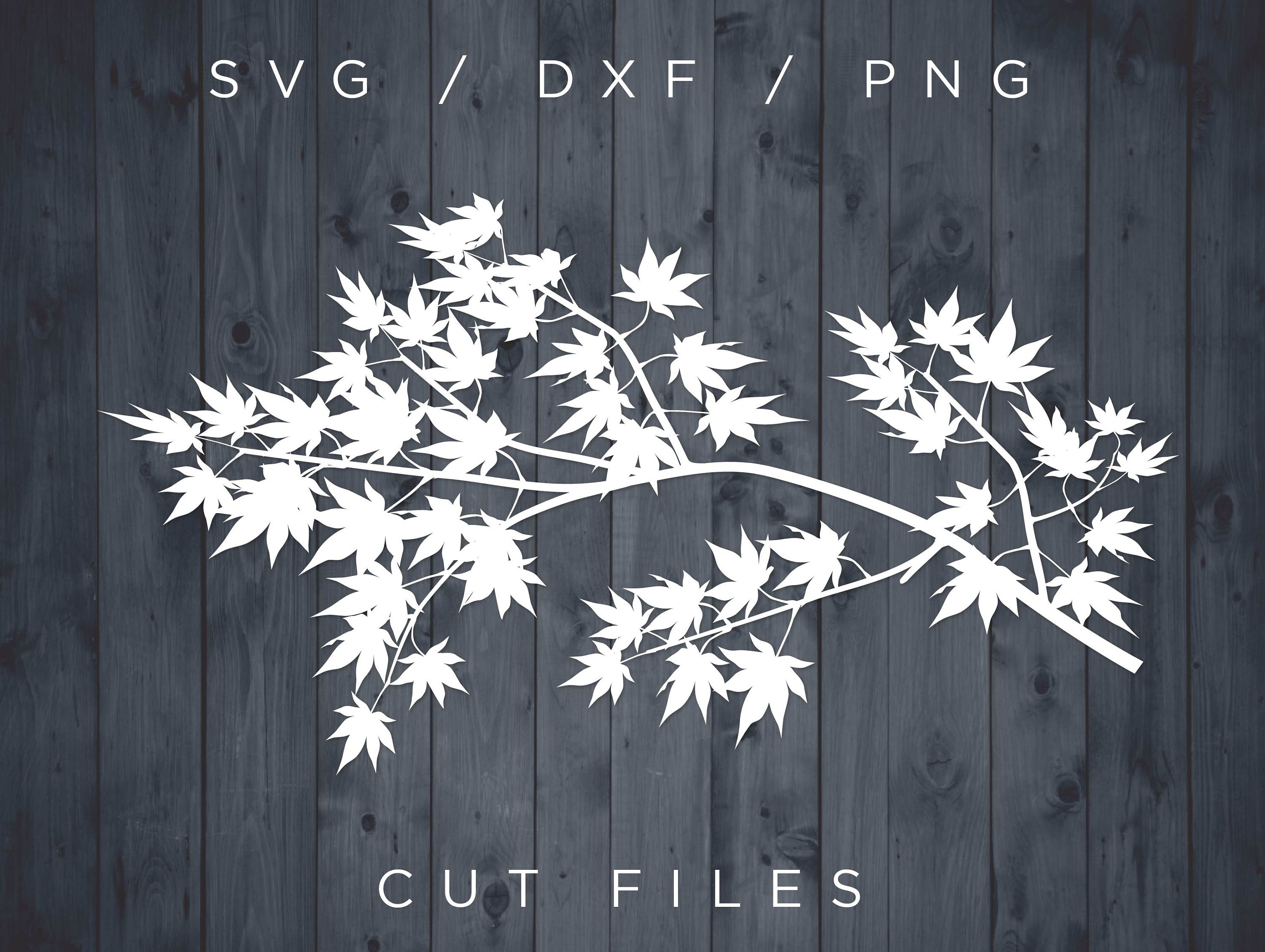 Maple SVG Wall Tree of Life Wall Art Svg Files for Cricut - Etsy