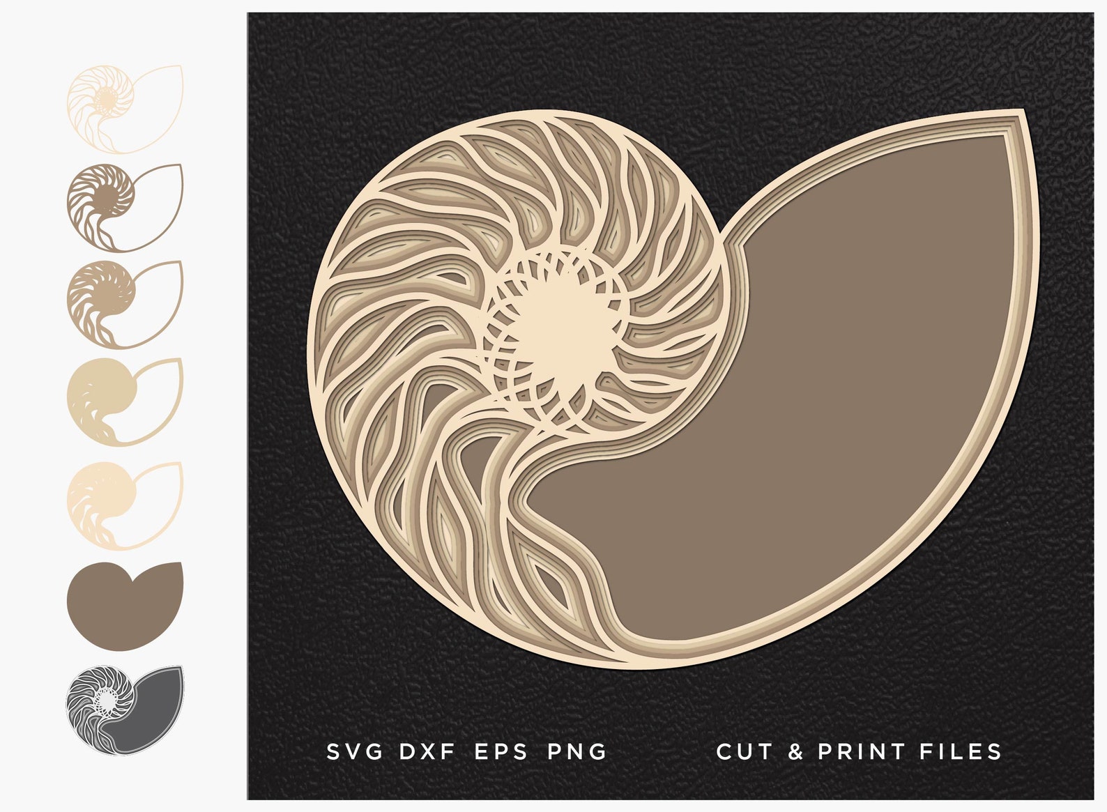 Nautilus Svg 3d Cut File Nautilus Cut Multilayer 3D - Etsy