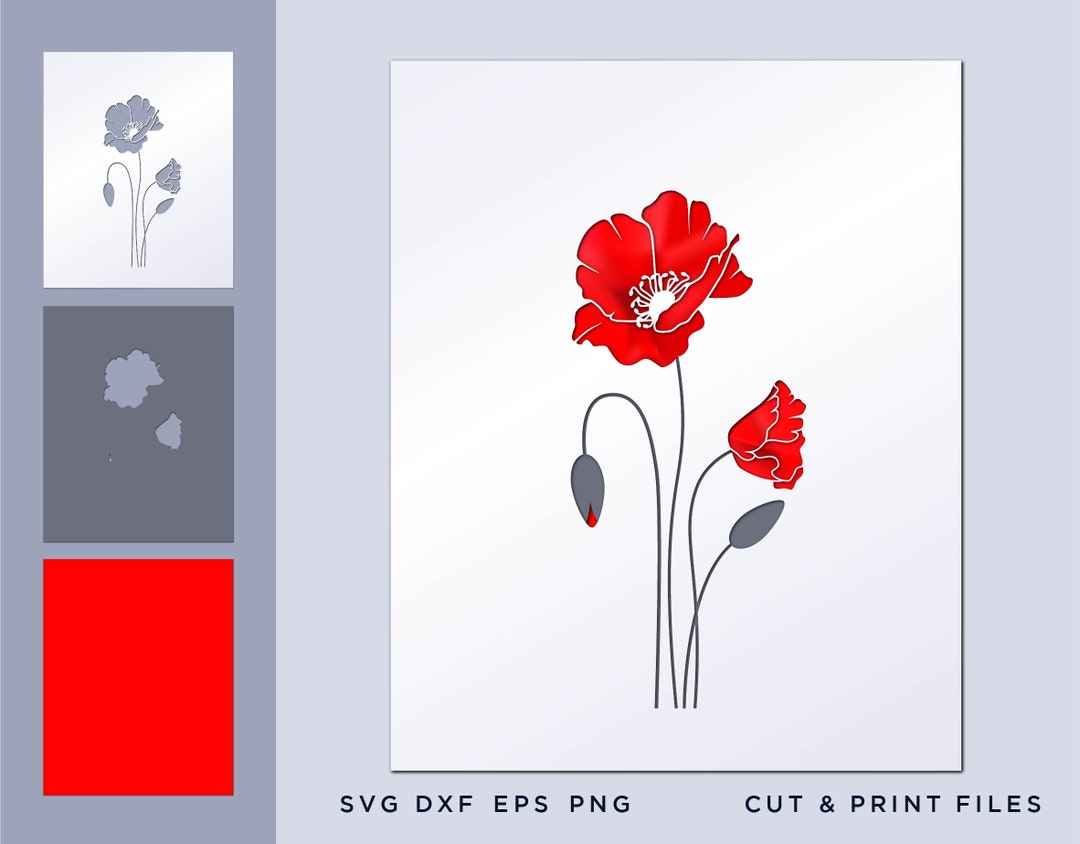 Red Poppies Cricut Silhouette Cutting, Paper Poppy Flowers Templates ...