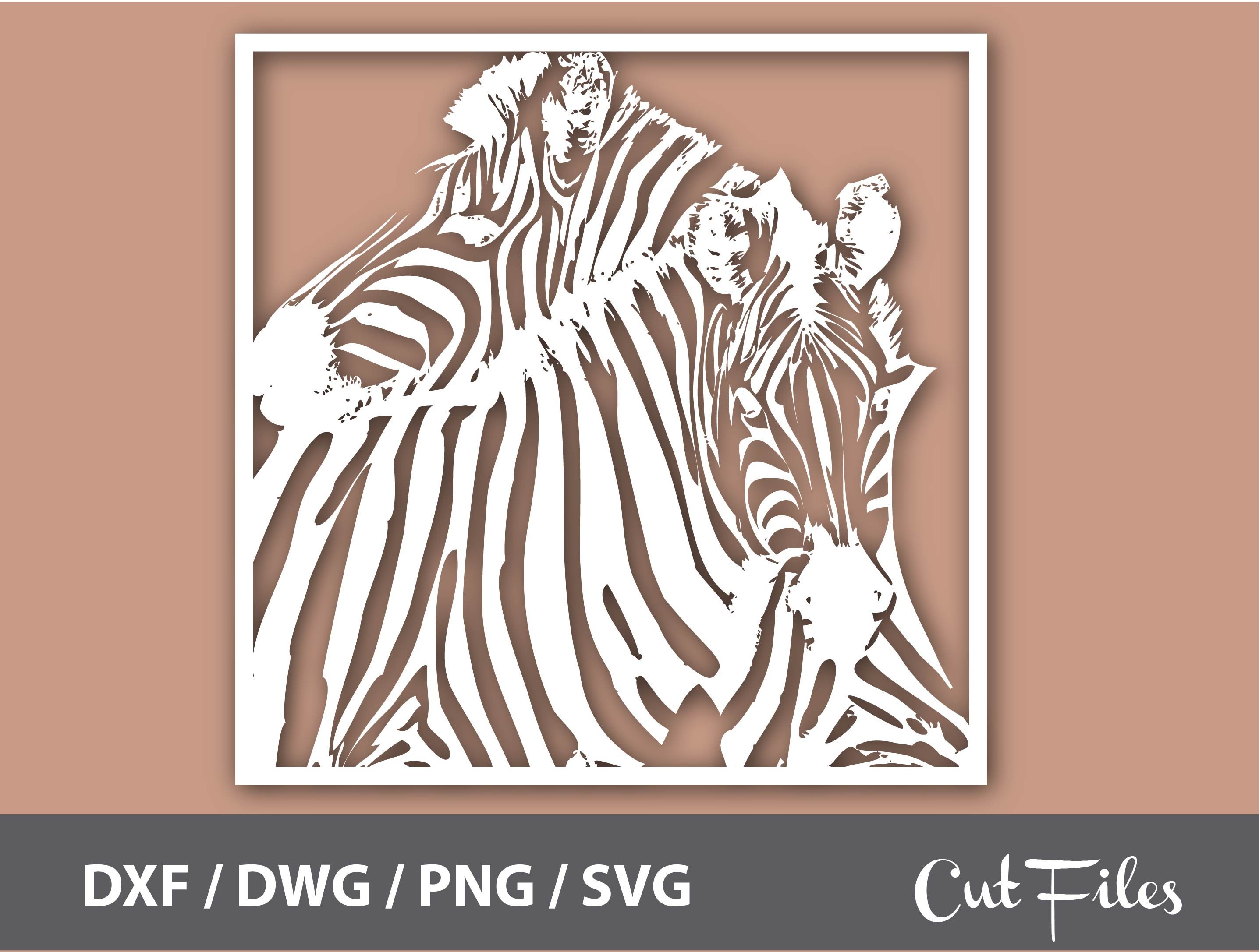 Zebra Svg Cut Template Digital Panel and Stencil Laser - Etsy