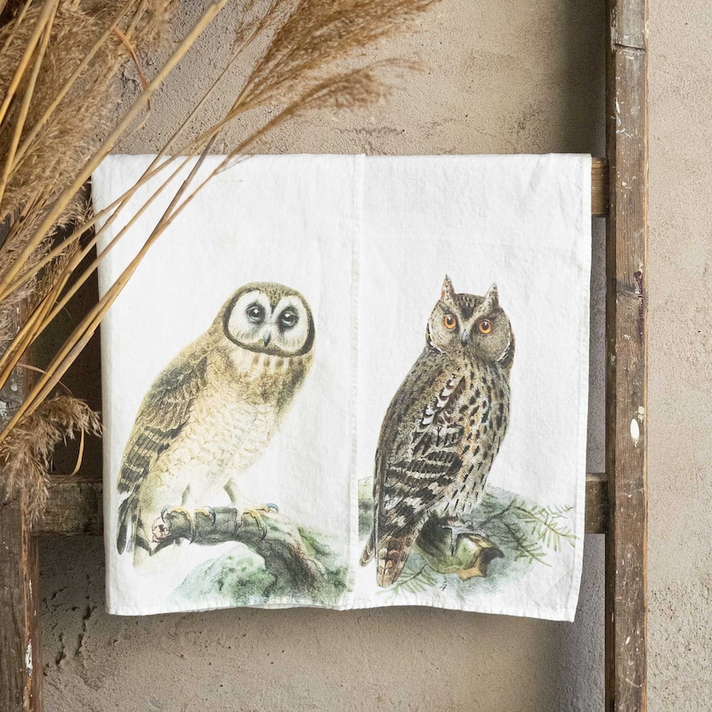 Owl Kitchen Decor - Etsy