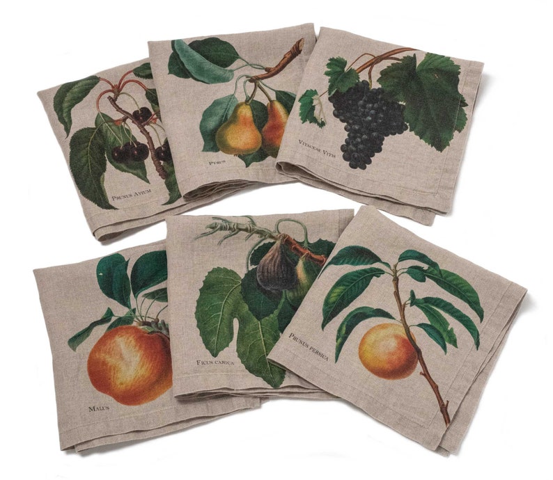 Set of Natural Linen Napkins With Fruit Prints Spring Cloth - Etsy