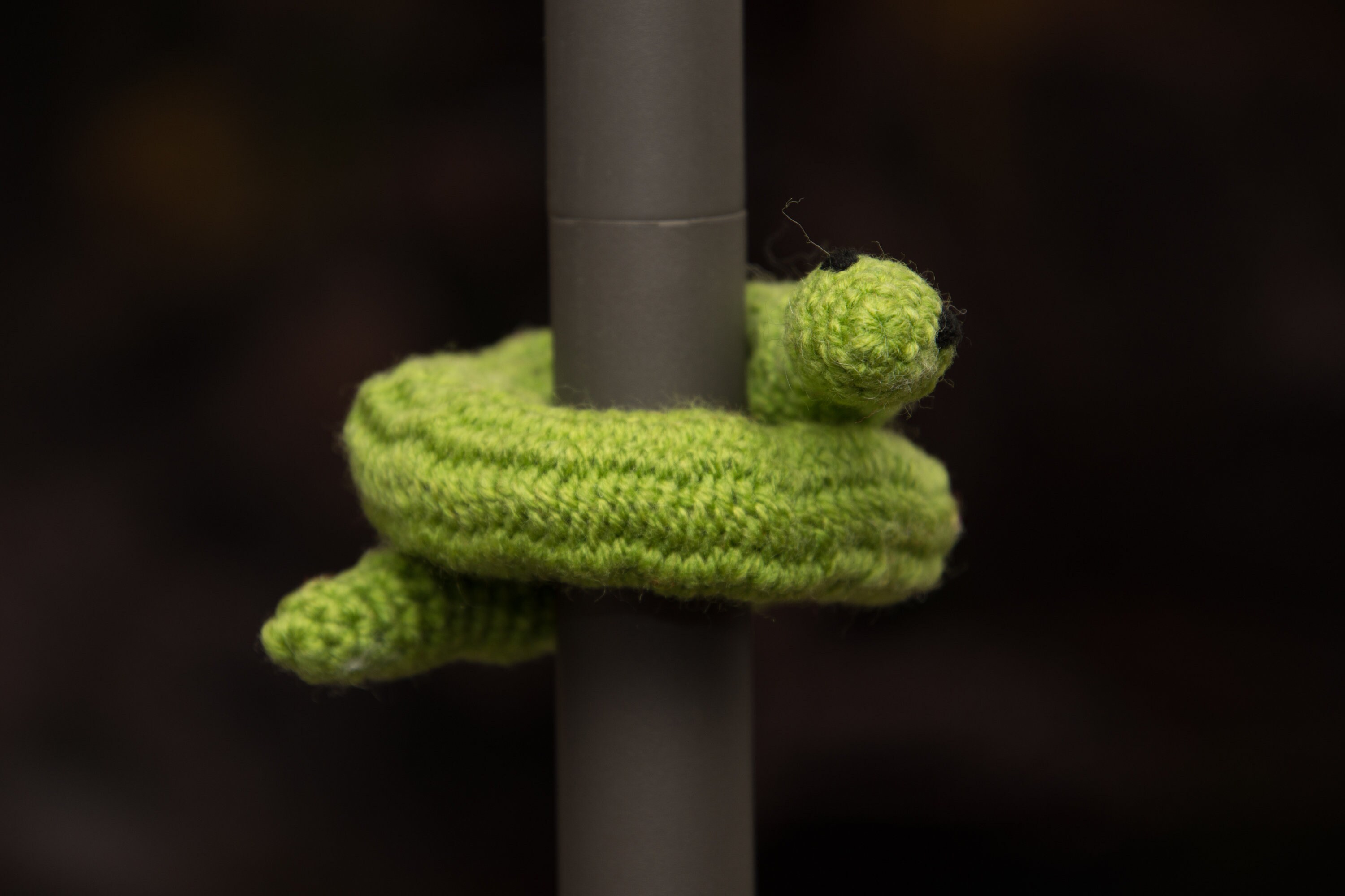 Snazzy Snake Crochet Pattern - Etsy