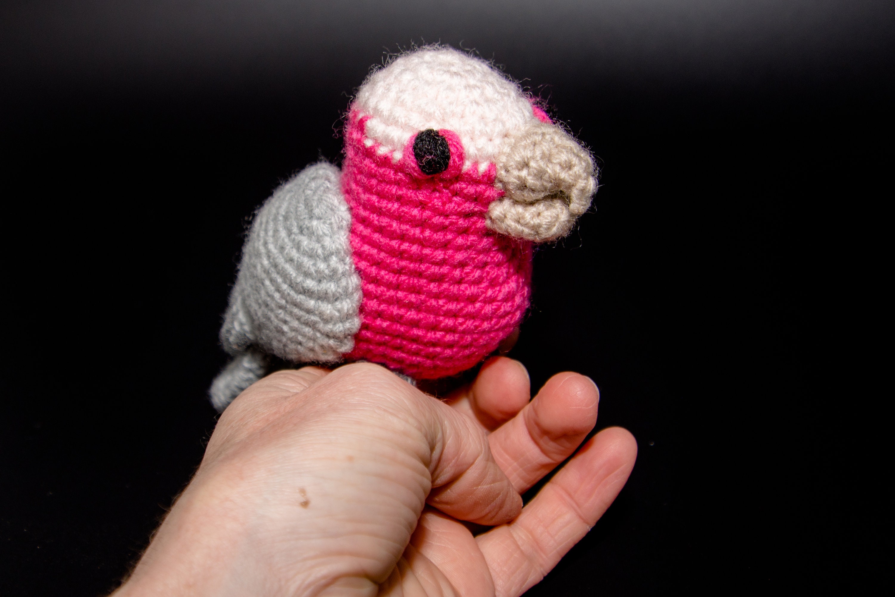 Galah Parrot Crochet Pattern - Etsy