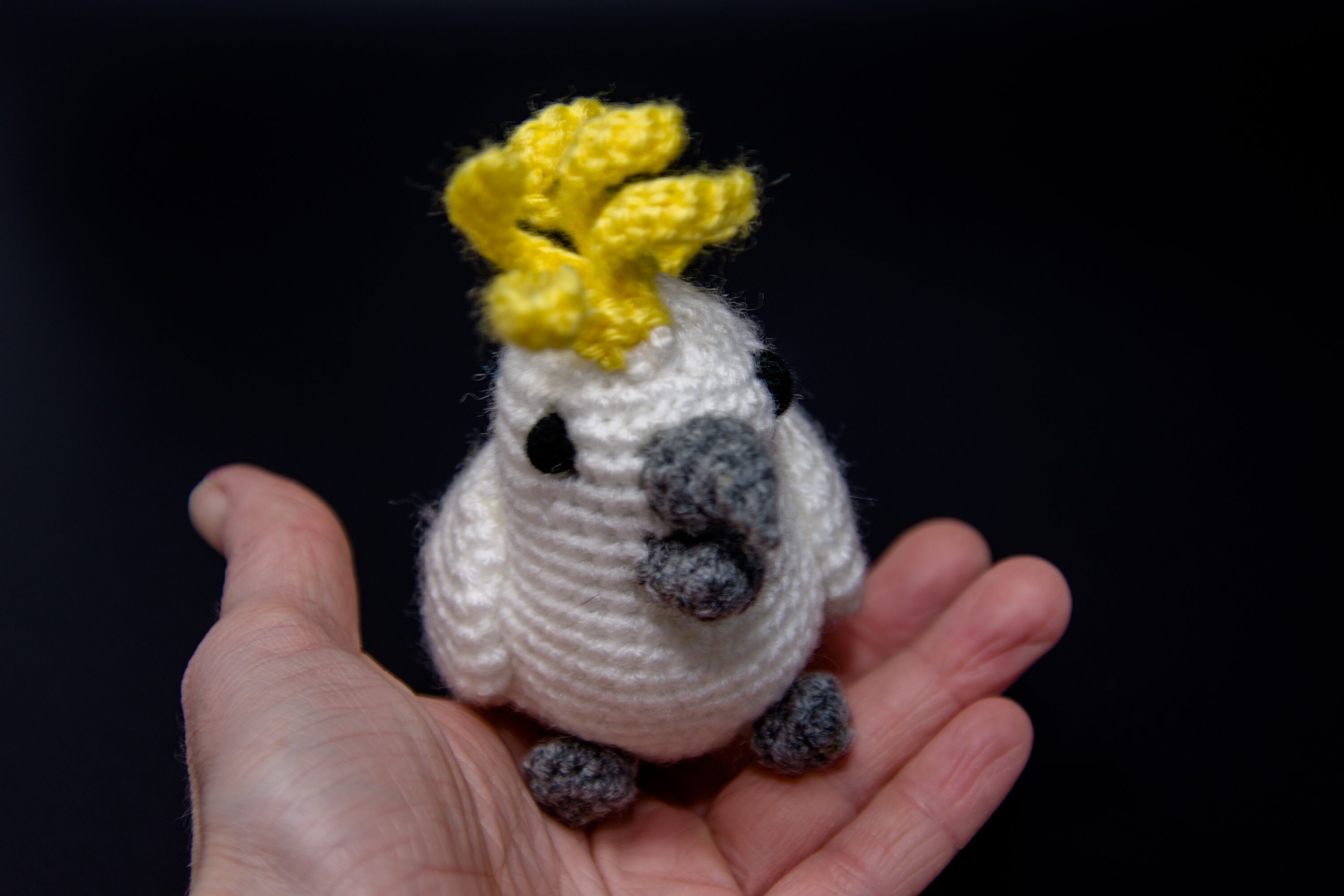 Cockatoo Parrot Crochet Pattern - Etsy