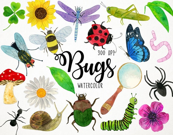 Watercolor Bugs Clipart Insects Clipart Animals Clipart - Etsy