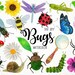 Watercolor Bugs Clipart, Insects Clipart, Animals Clipart, Nature ...