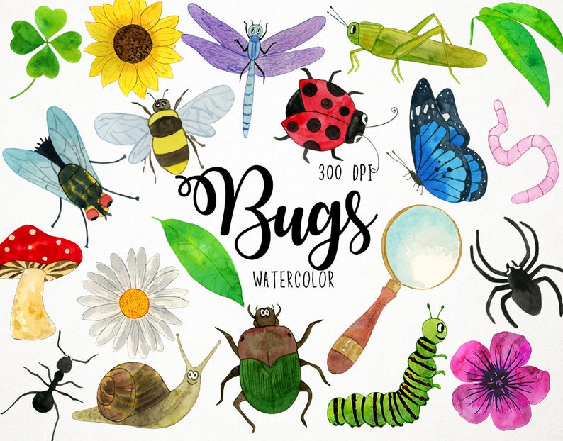 Watercolor Bugs Clipart Insects Clipart Animals Clipart - Etsy Canada