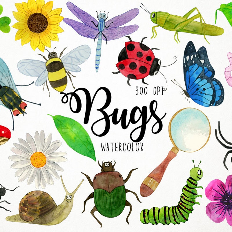 Bug Clipart - Etsy