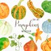 Watercolor Pumpkins Clipart, Fall Clip Art, Thanksgiving, Harvest ...