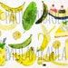 Watercolor Banana Clipart, Banana Clip Art, Banana Graphics, Banana ...