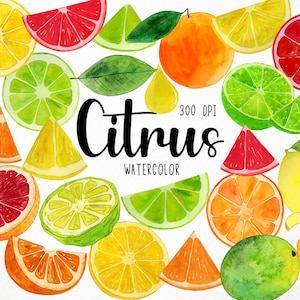 Watercolor Citrus Clipart, Citrus Slices Clipart, Fruits Clipart, Lemon ...