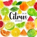 Watercolor Citrus Clipart, Citrus Slices Clipart, Fruits Clipart, Lemon ...