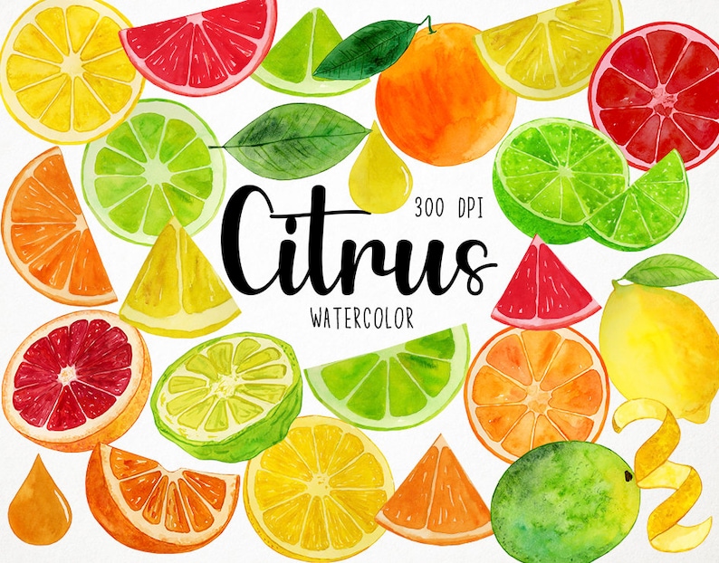 Watercolor Citrus Clipart, Citrus Slices Clipart, Fruits Clipart, Lemon ...