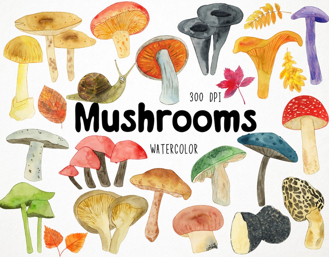 Watercolor Mushrooms Clipart, Mushrooms Graphics, Fungi Clipart ...