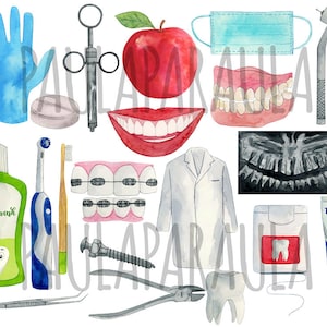 Watercolor Dentist Clipart, Dental Clipart, Odontologist Clipart ...