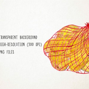 Watercolor Potato Clipart, Vegetable Clipart, Chips Clipart, Potatotes ...