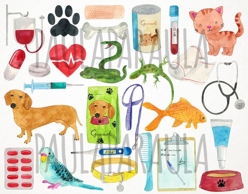 Watercolor Veterinary Clipart Vet Clipart Veterinary Center - Etsy