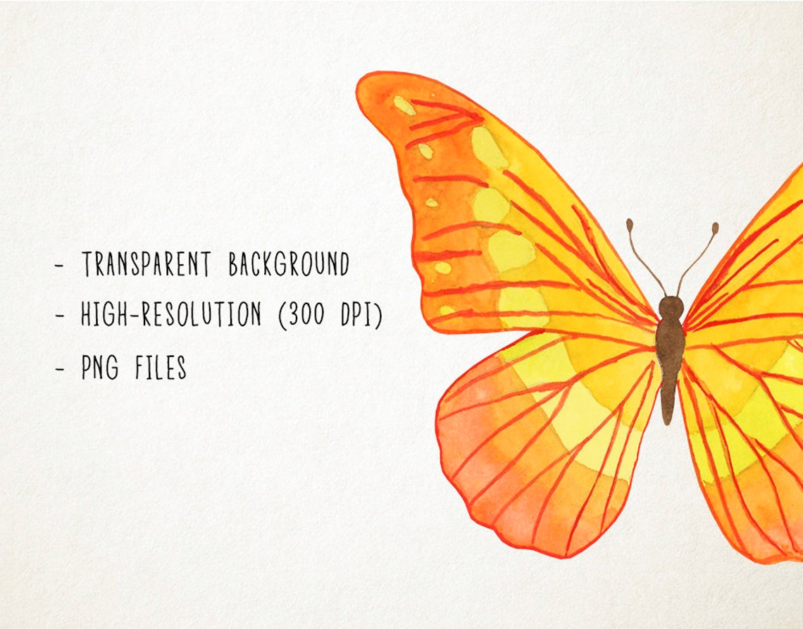 Watercolor Butterflies Clipart, Butterflies Clip Art, Hand Painted ...