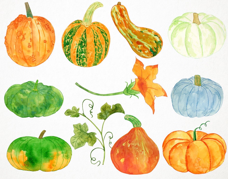 Watercolor Pumpkins Clipart, Fall Clip Art, Thanksgiving, Harvest ...