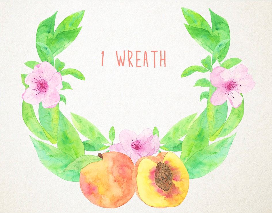 Watercolor Peaches Clipart Peaches Clip Art Watercolor Peach | Etsy