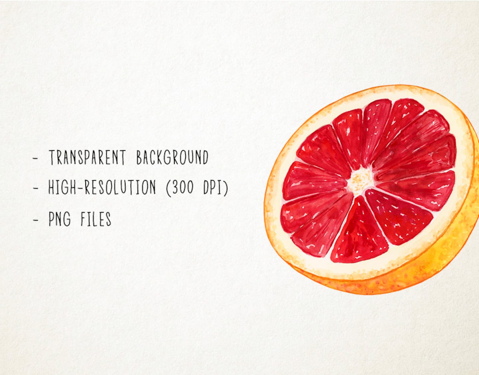 Watercolor Citrus Clipart Citrus Slices Clipart Fruits - Etsy