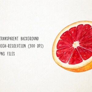 Watercolor Citrus Clipart, Citrus Slices Clipart, Fruits Clipart, Lemon ...