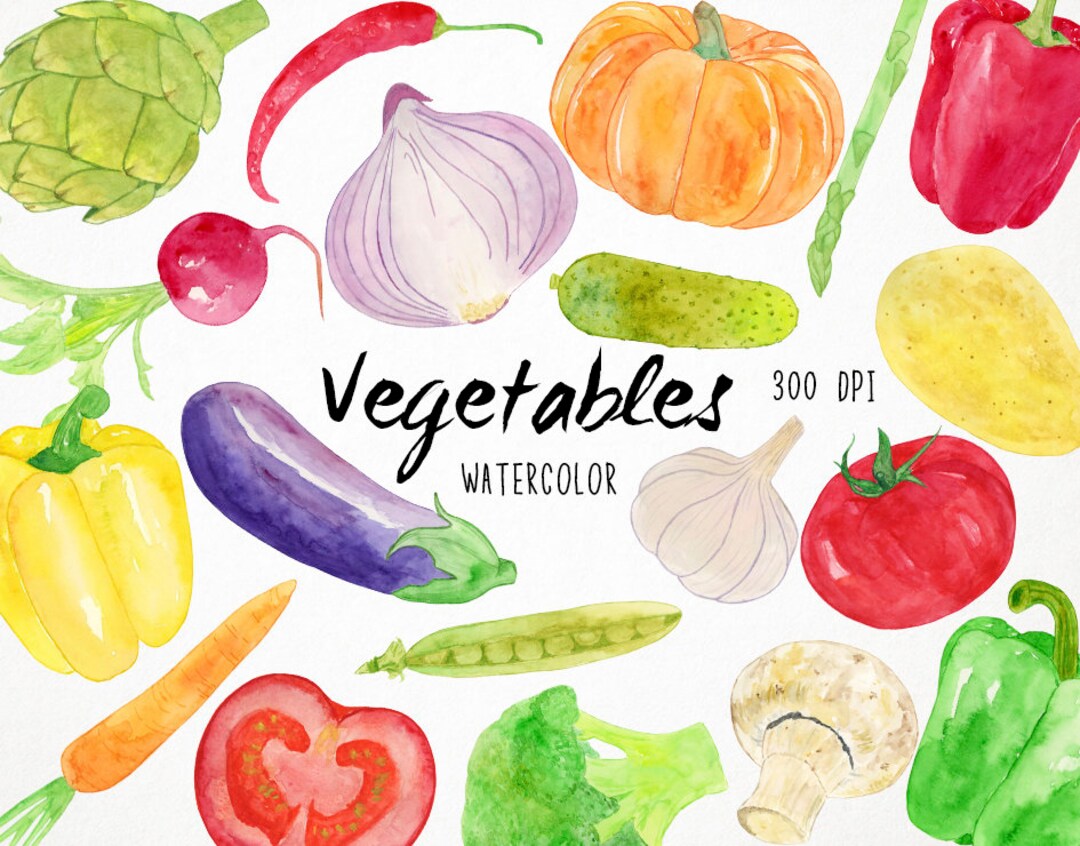 Vegetable Clipart, Vegetable Clip Art, Watercolor Vegetables, Vegetable ...