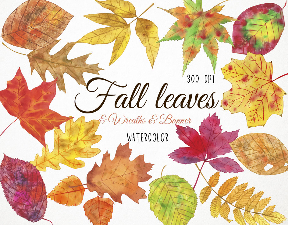 Autumn Clipart, Fall Clip Art, Fall Clipart, Fall Leaves Clipart ...
