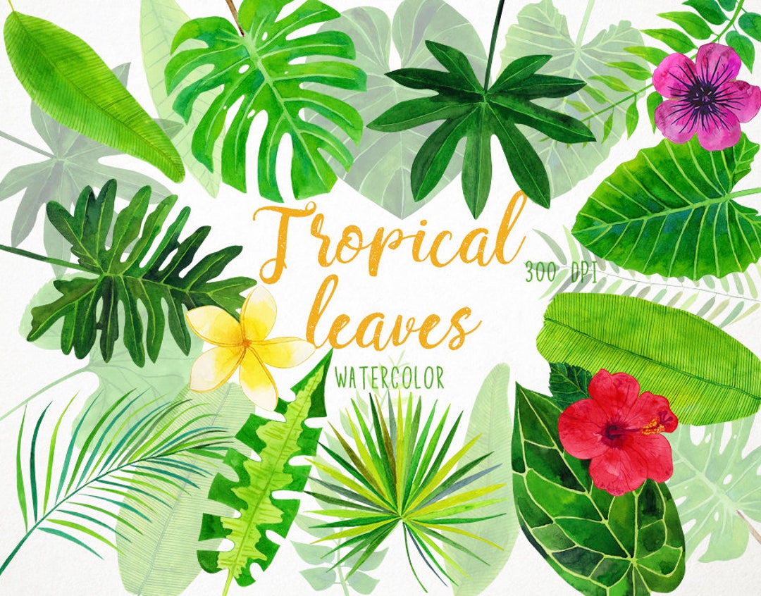 Tropical Leaves Clipart, Tropical Clipart, Watercolor Banana Clipart ...