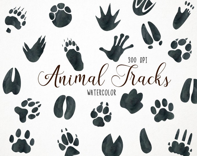 Printable Animal Footprints Flashcard - Printable Animals With ...